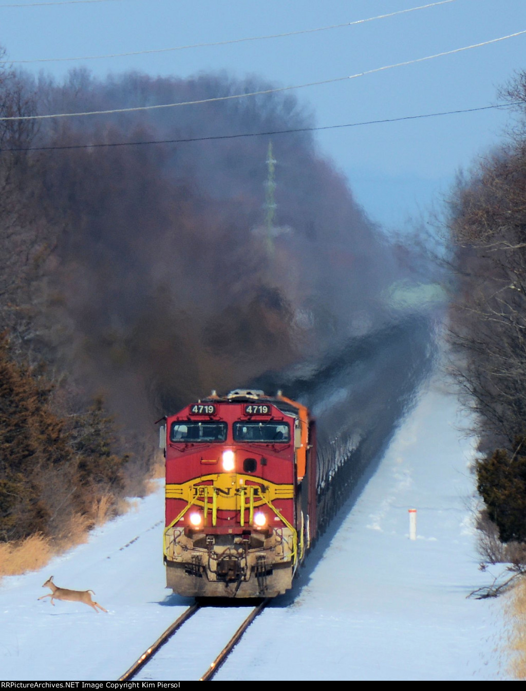BNSF 4719 CSX Train K140 vs. Deer (3 of 3)